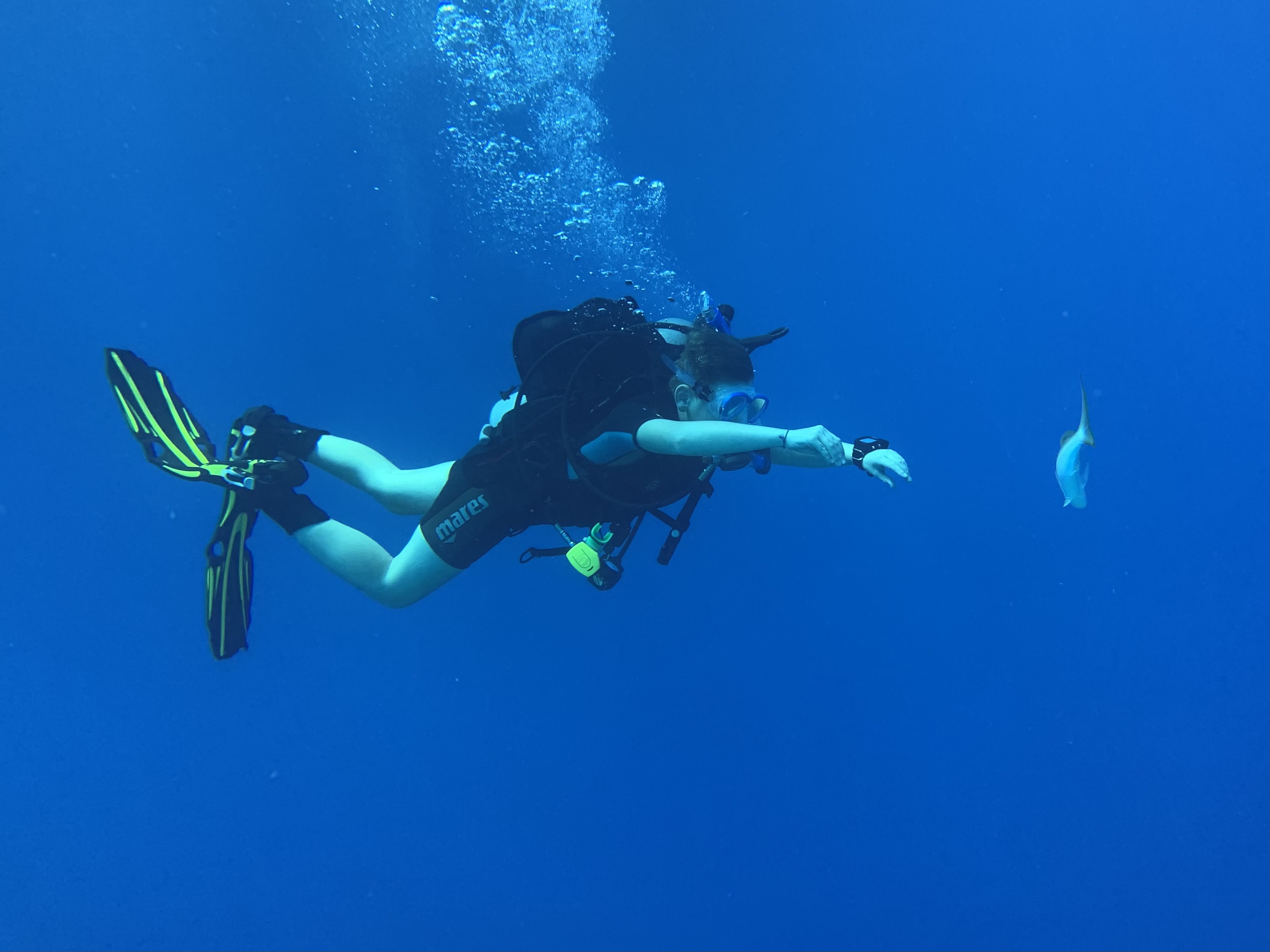 Diver Dylan’s YouTube channel – The Big Trip